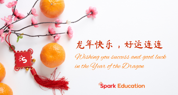 Home_sg - Spark Education Blog