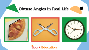 How Many Obtuse Angles Are in an Obtuse Triangle?
